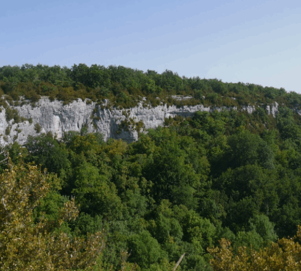 Natura 2000 - cc-forets-seine-suzon